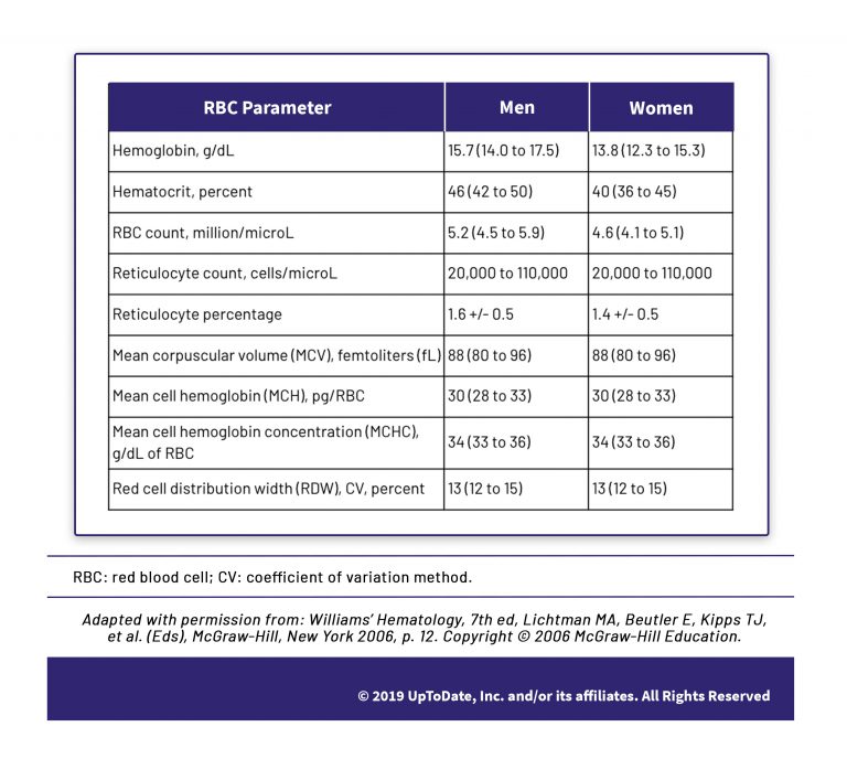 Anemia | Health Hippo